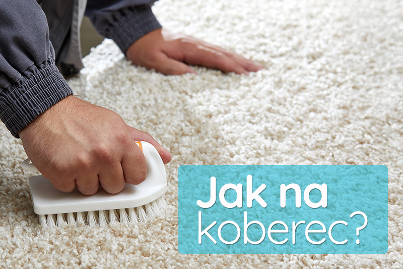 Jak čistit koberec jedlou sodou? - Nanolab.cz